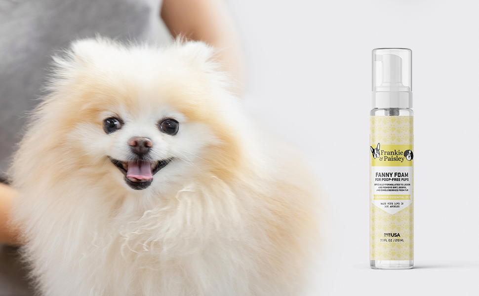 A New Solution to the Age-old Problem of Dingleberries on Dogs ...